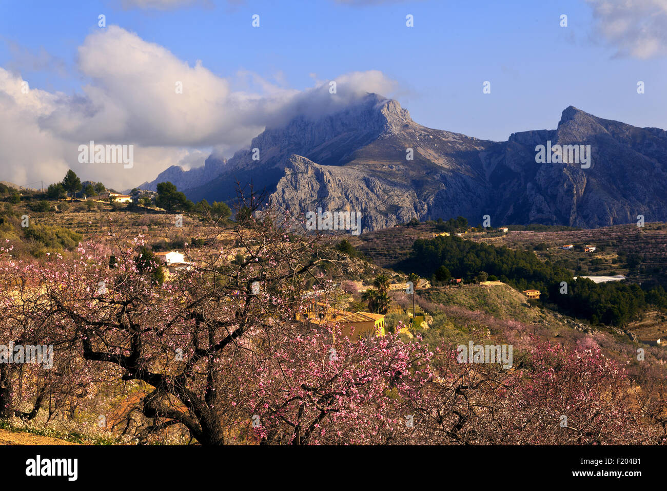 The Serra del Ferrer mountains near Tarbena in the Alicante Province of ...