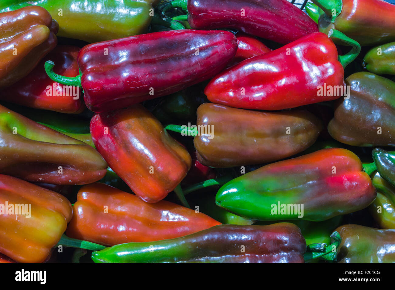 Photo of red peppers at a local market Stock Photo - Alamy