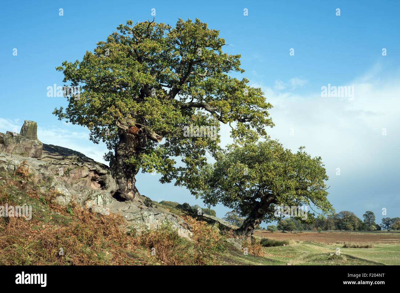 English Country Landscape Stock Photo - Alamy