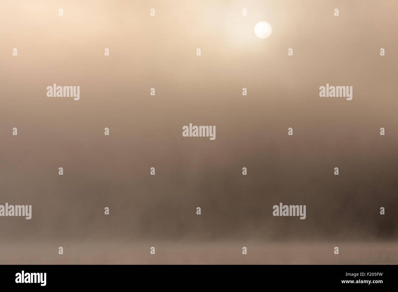 Morning sun through fog at lake Stock Photo - Alamy