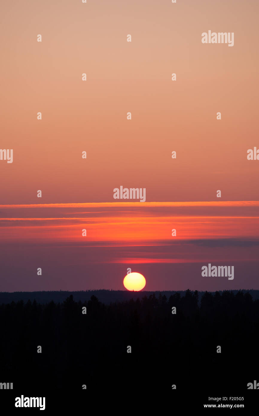Sun setting over forest Stock Photo - Alamy