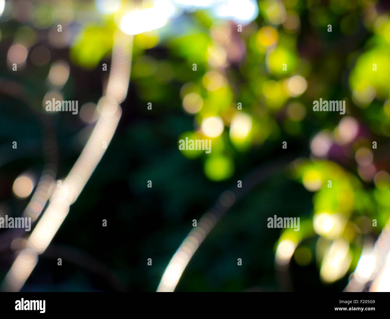 The digital blur Abstract picture Stock Photo - Alamy