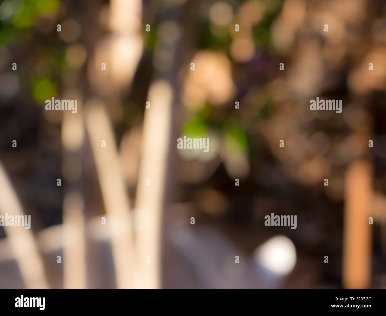 The digital blur Abstract picture Stock Photo - Alamy