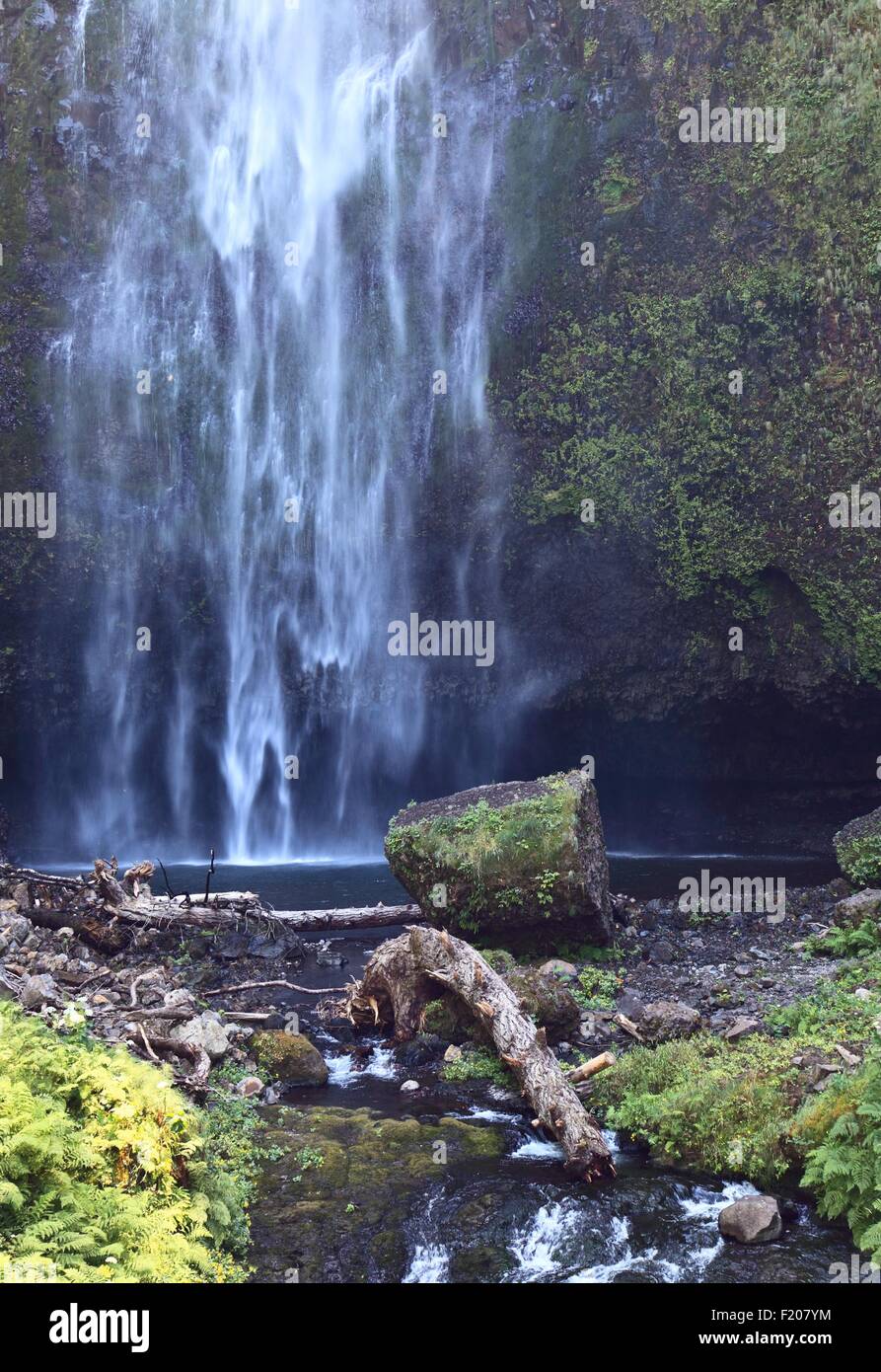 Multnomah Falls, Oregon Stock Photo - Alamy
