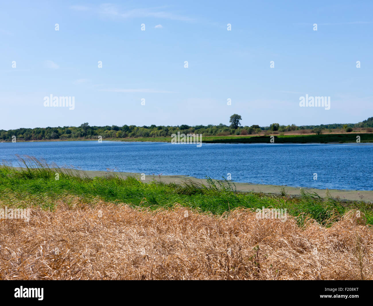 Landscape river in the forests and fields Stock Photo - Alamy