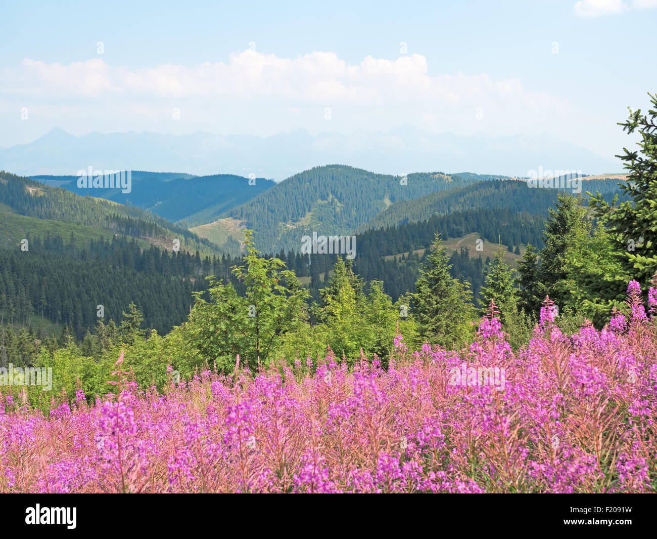 Landschaft in der Slowakei Stock Photo - Alamy