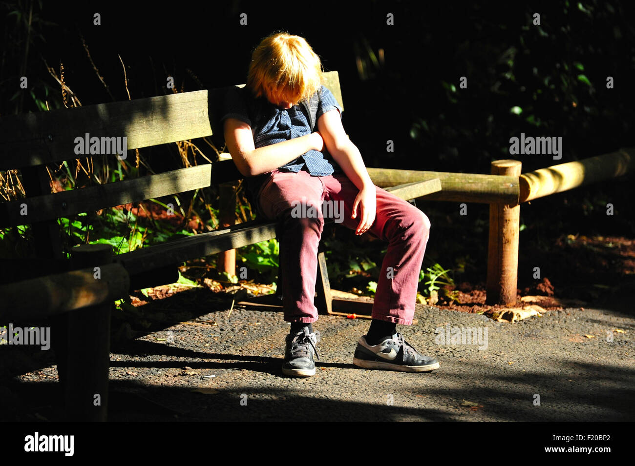 Tramp on a bench hi-res stock photography and images - Alamy