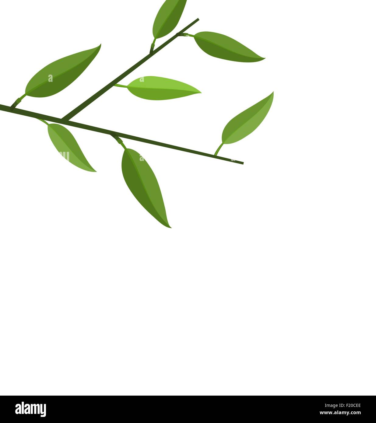 Branch Tree with Green Leaf Stock Vector Image & Art - Alamy