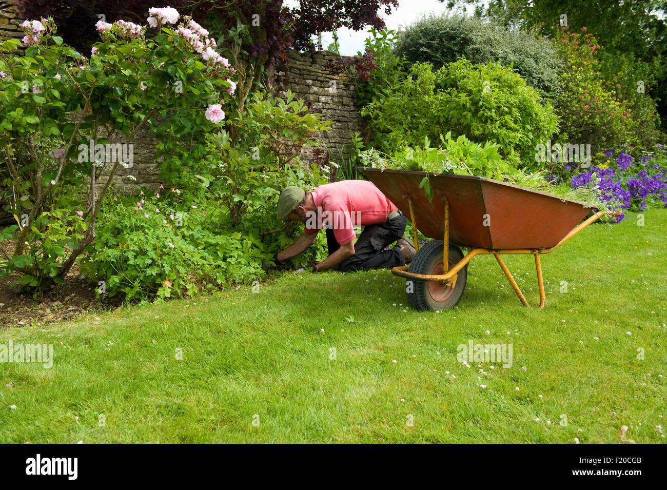 Gardener working in garden Stock Photo - Alamy