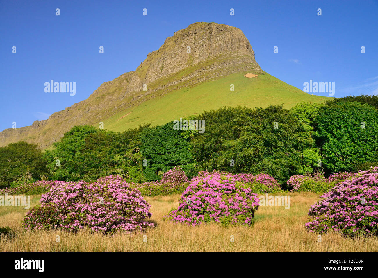Ben Bulben
