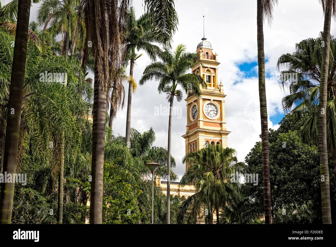 Brazilian railway hi-res stock photography and images - Alamy