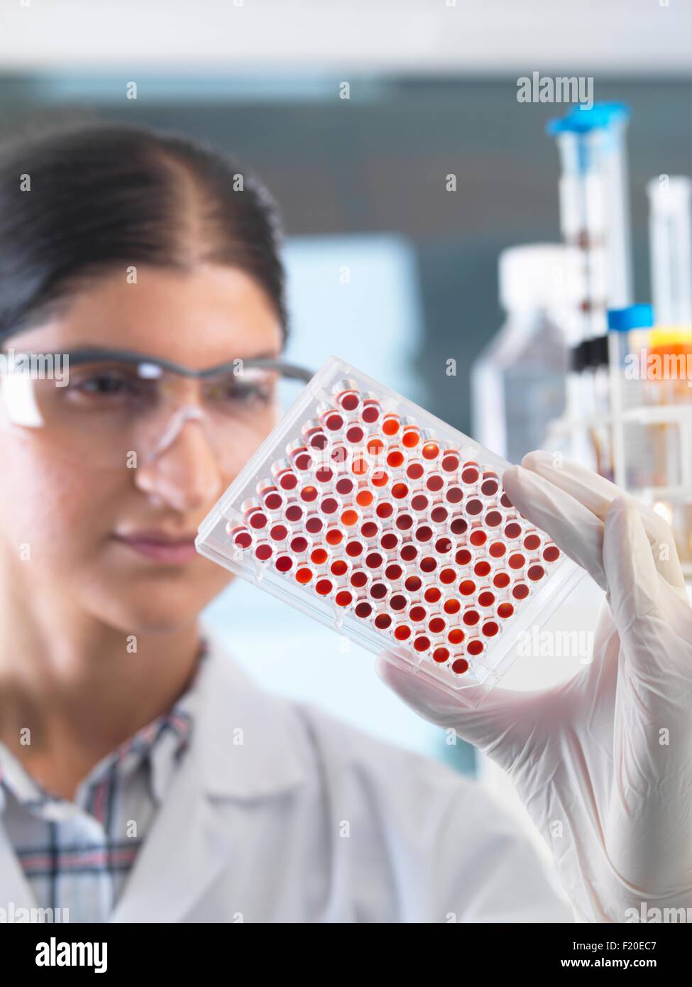 Female scientist examining micro plate blood samples in laboratory ...