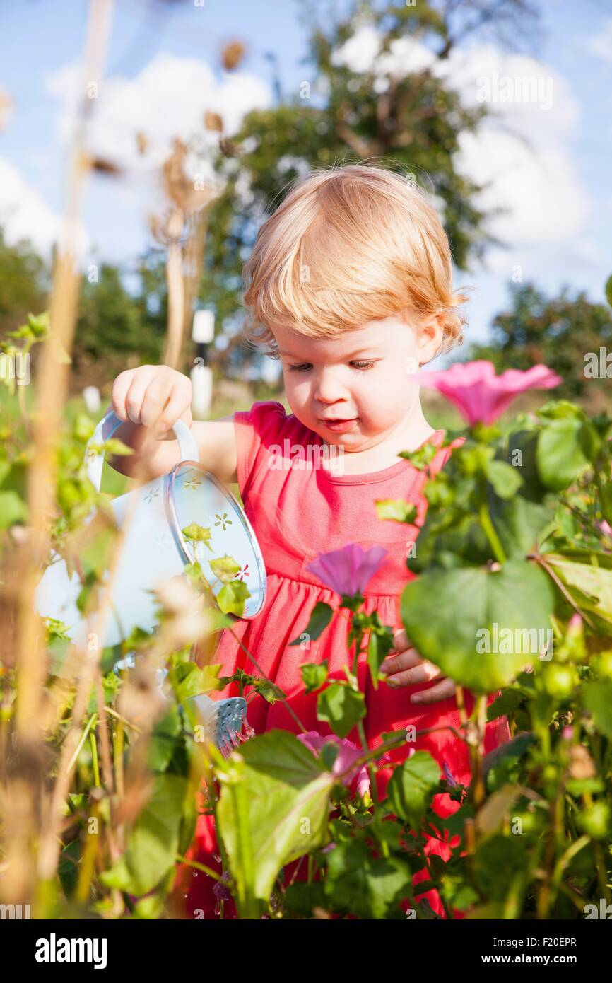 Female toddler watering flowers in flower field Stock Photo - Alamy