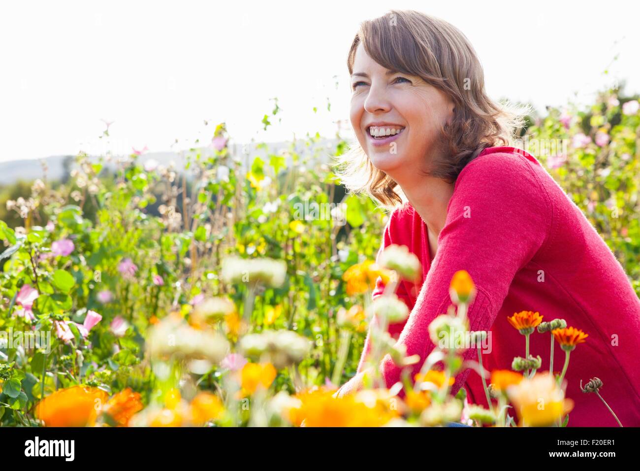 Adult flower hi-res stock photography and images - Alamy