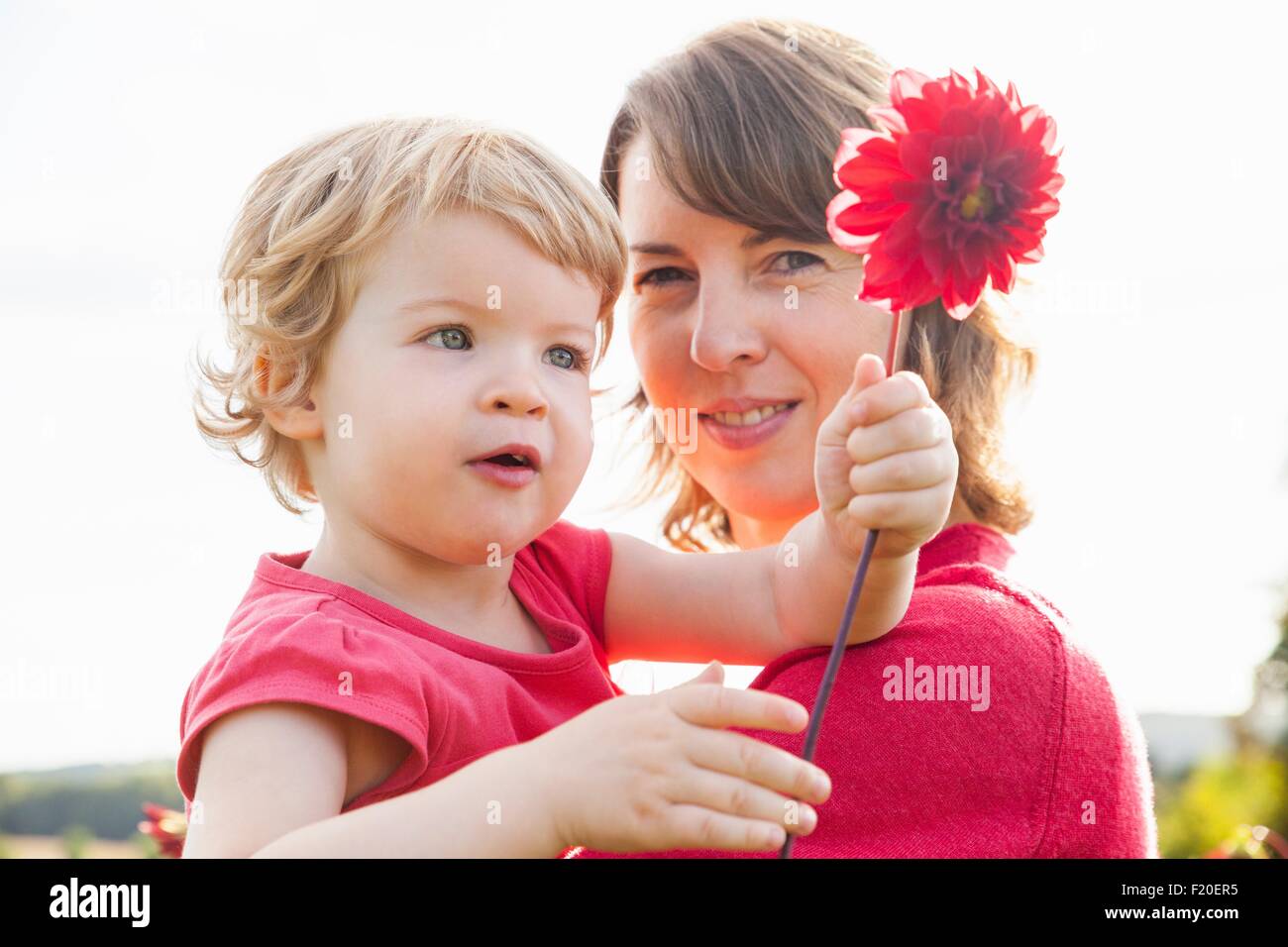 3 red flower hi-res stock photography and images - Alamy