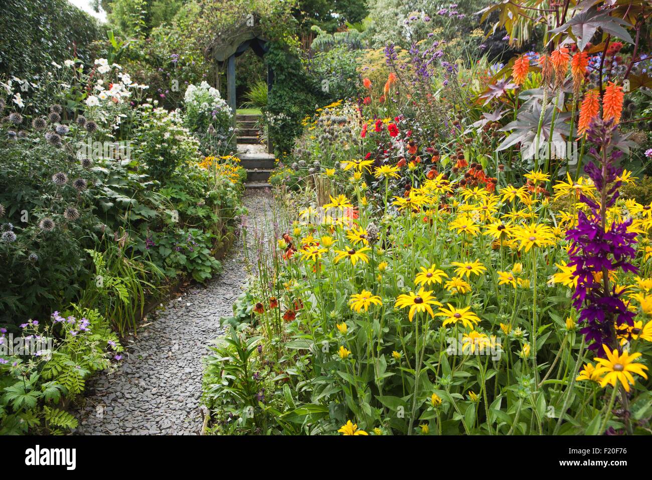 Poppy Cottage Garden on Roseland Peninsula in Cornwall Stock Photo - Alamy