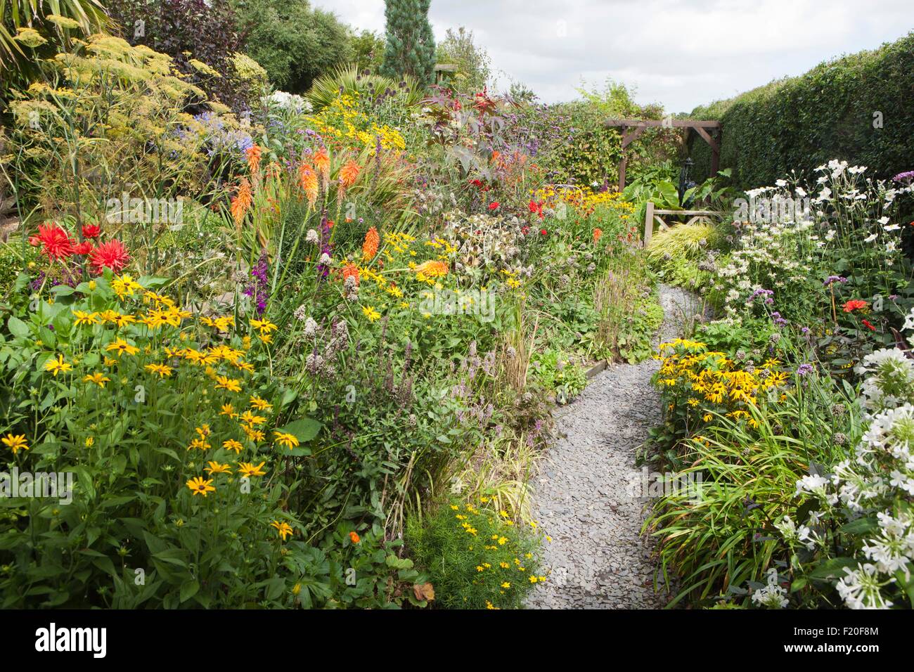Poppy Cottage Garden on Roseland Peninsula in Cornwall Stock Photo - Alamy