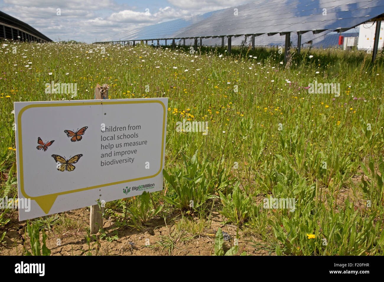 Wildflowers in bloom Willersey Solar Photovoltaic Farm Cotswolds UK ...