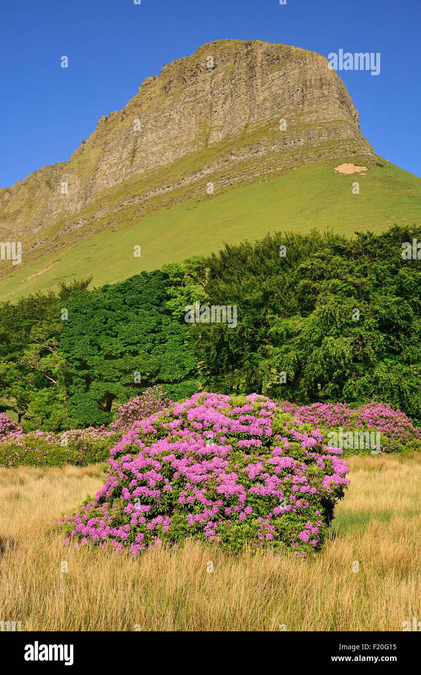 Ireland, County Sligo, View of Ben Bulben mountain from Gortarowey ...