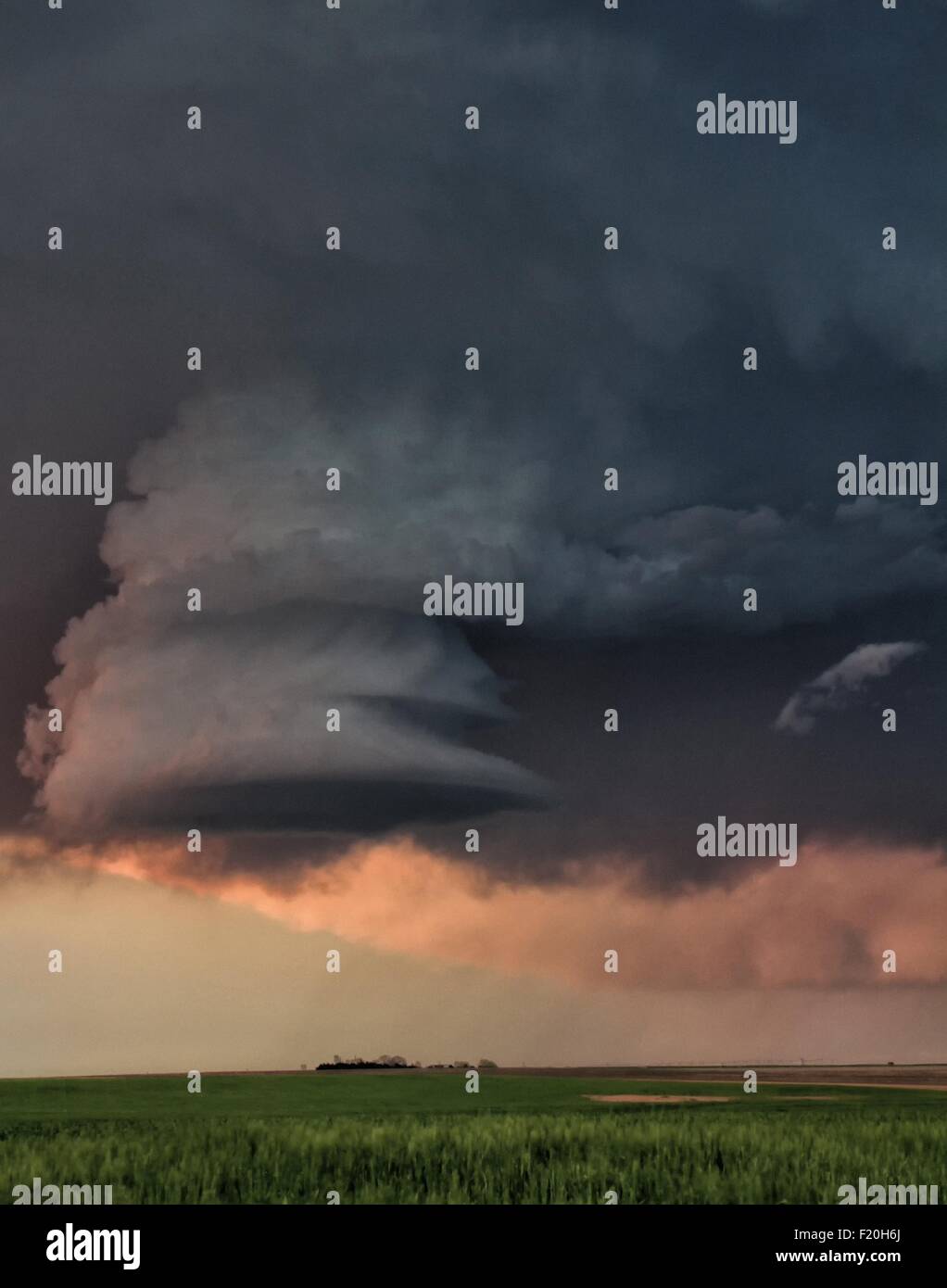 Rapidly rotating narrow mesocyclone spinning over open field at sunset ...