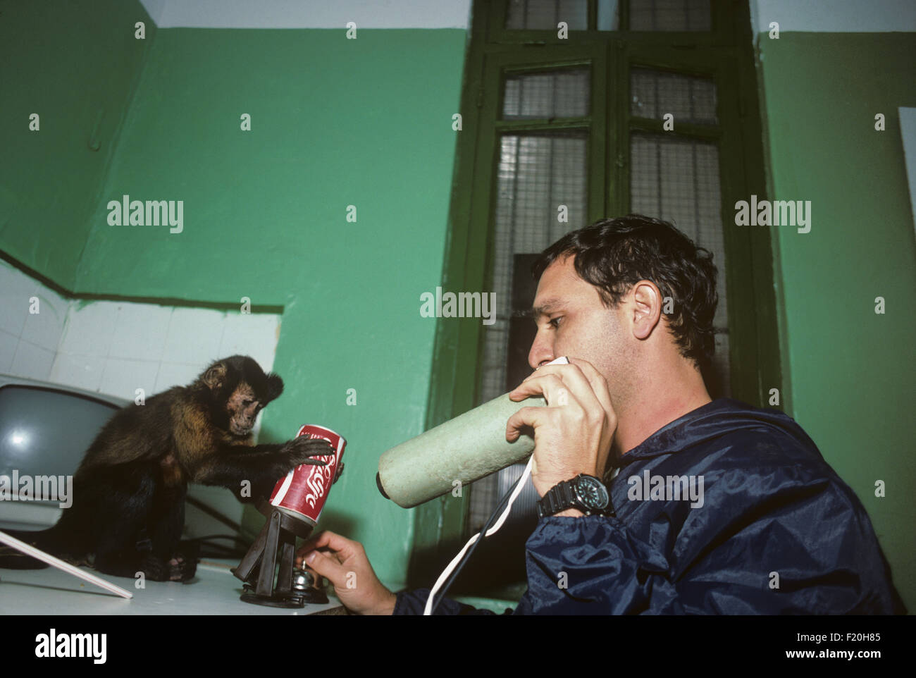 Monkey help paraplegic hi-res stock photography and images - Alamy