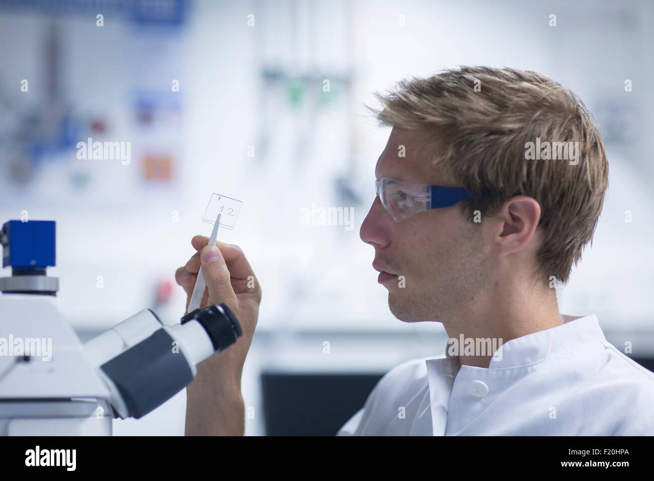 Scientist work looking in microscope hi-res stock photography and ...