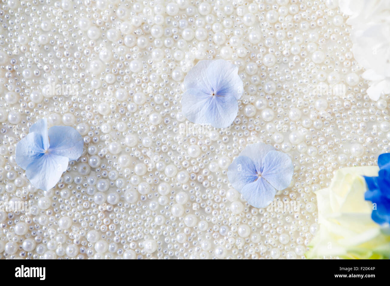 background of pearls and hydrangea Stock Photo - Alamy