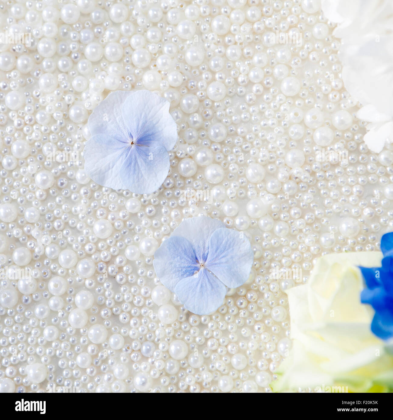background of pearls and hydrangea Stock Photo - Alamy