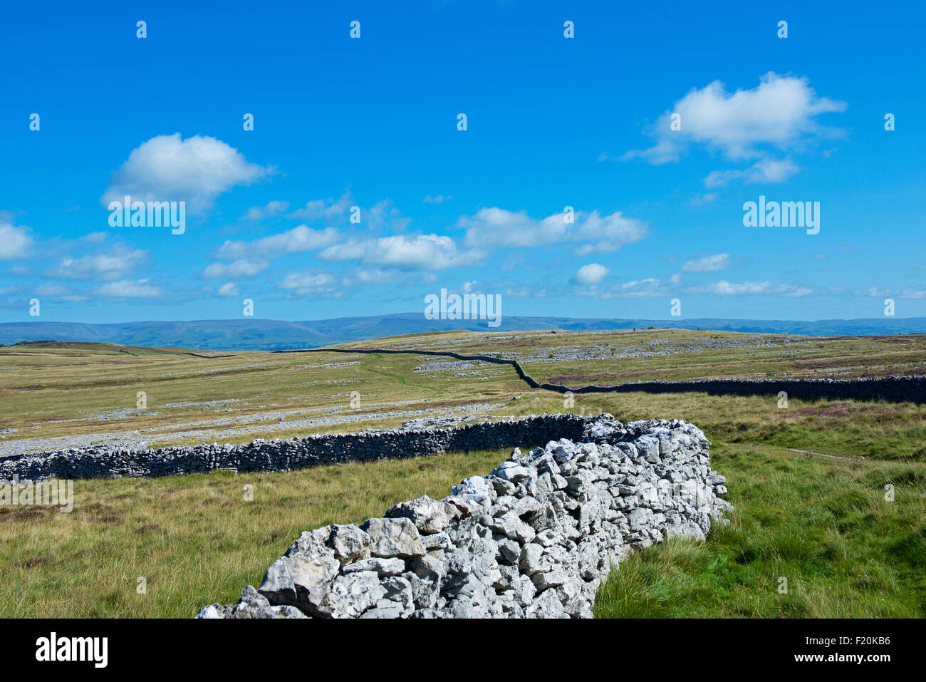 Limestone landscape at Great Asby Scar, near Orton, Cumbria, England UK ...