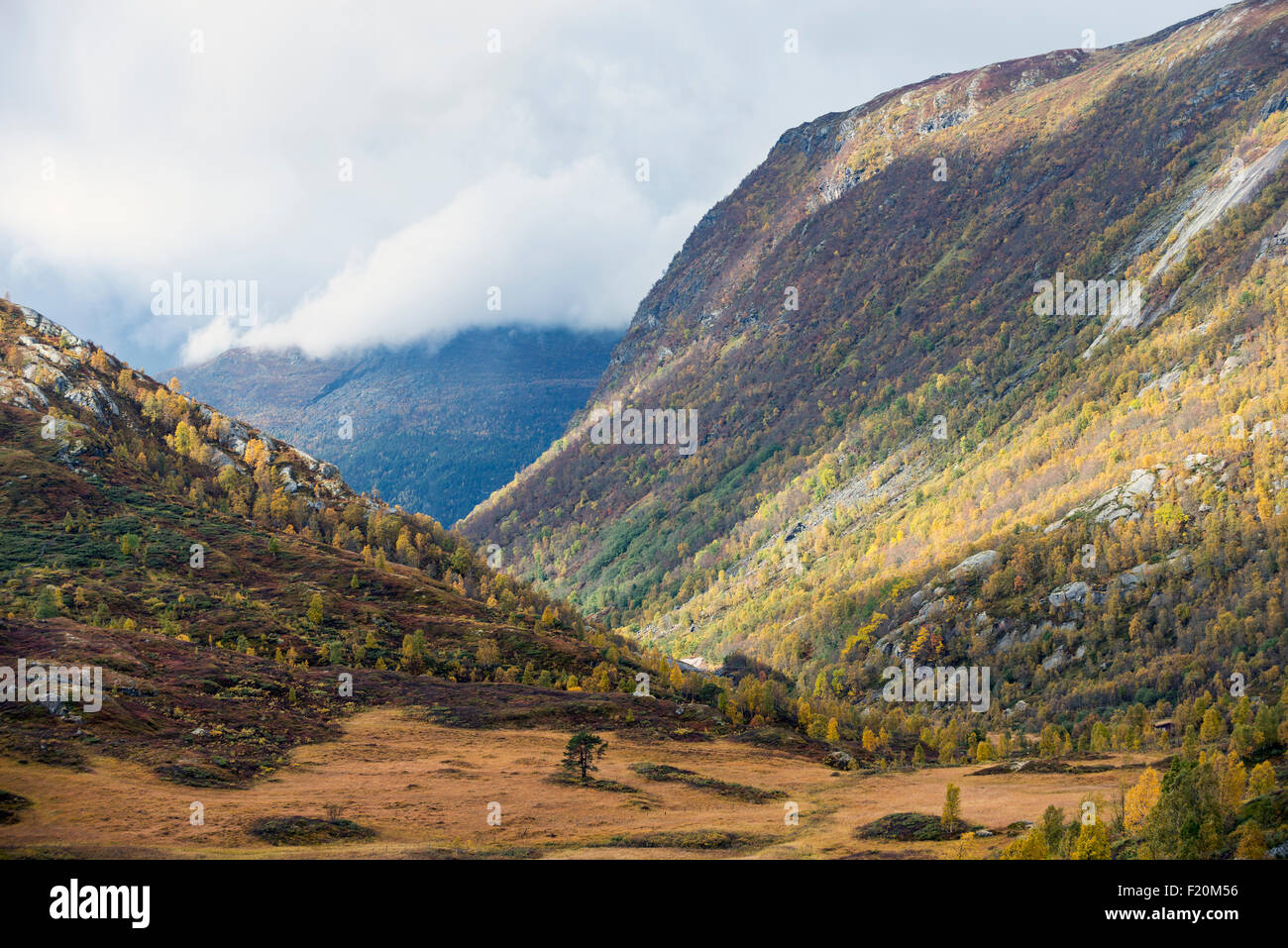 Norweigian mountains hi-res stock photography and images - Alamy