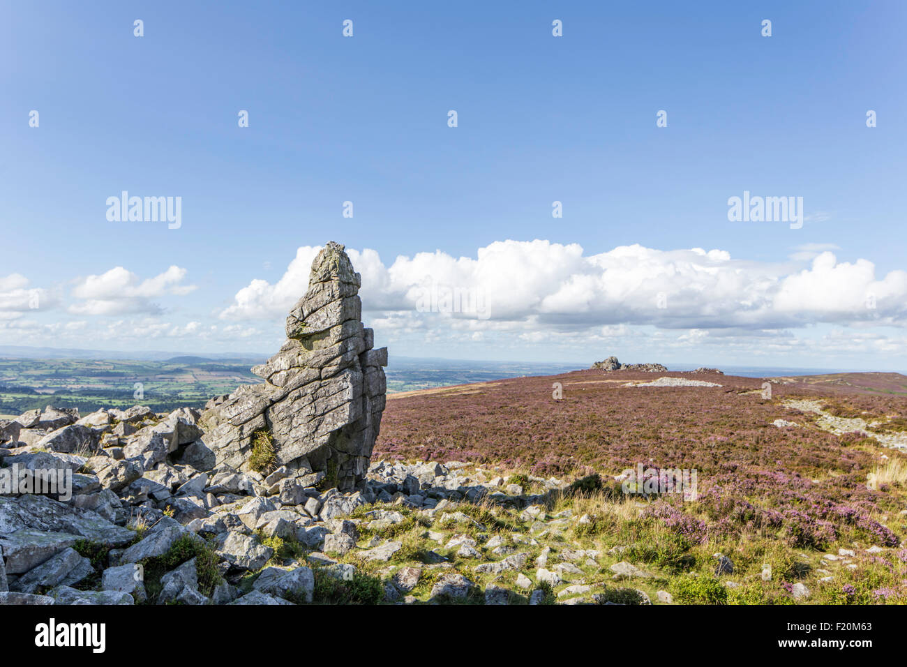 The Stiperstones National Nature Reserve, Shropshire, England, UK Stock ...