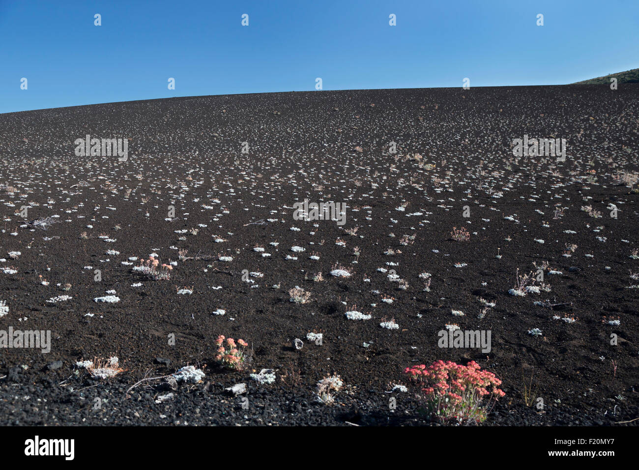 Cinder plain hi-res stock photography and images - Alamy