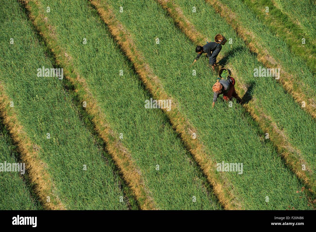 Pinlaung hi-res stock photography and images - Alamy