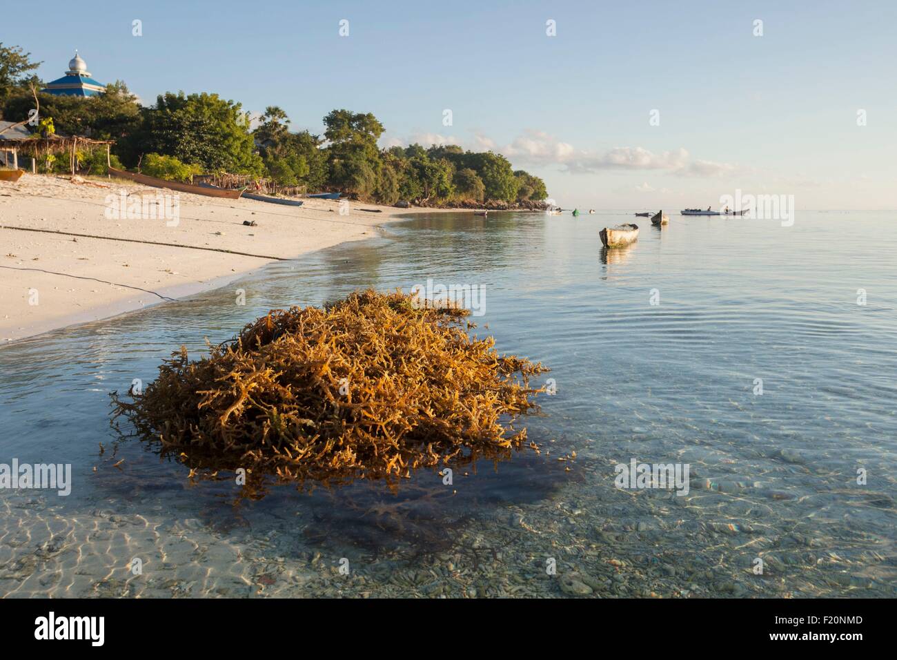 Indonesia, Lesser Sunda Islands, Alor archipelago, Kangge Island ...