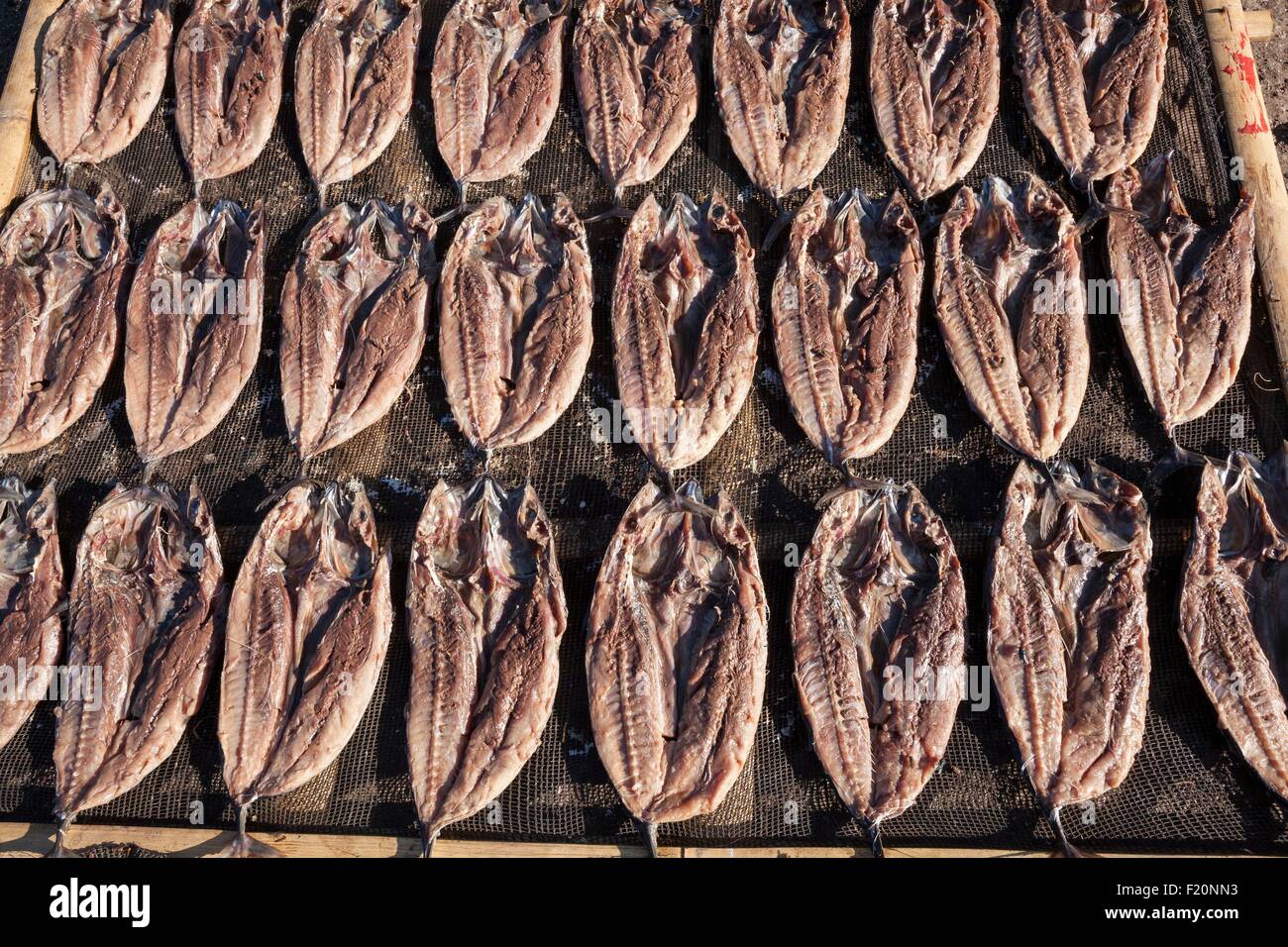 Indonesia, Lesser Sunda Islands, Alor Island, Kalabahi, fish drying in ...