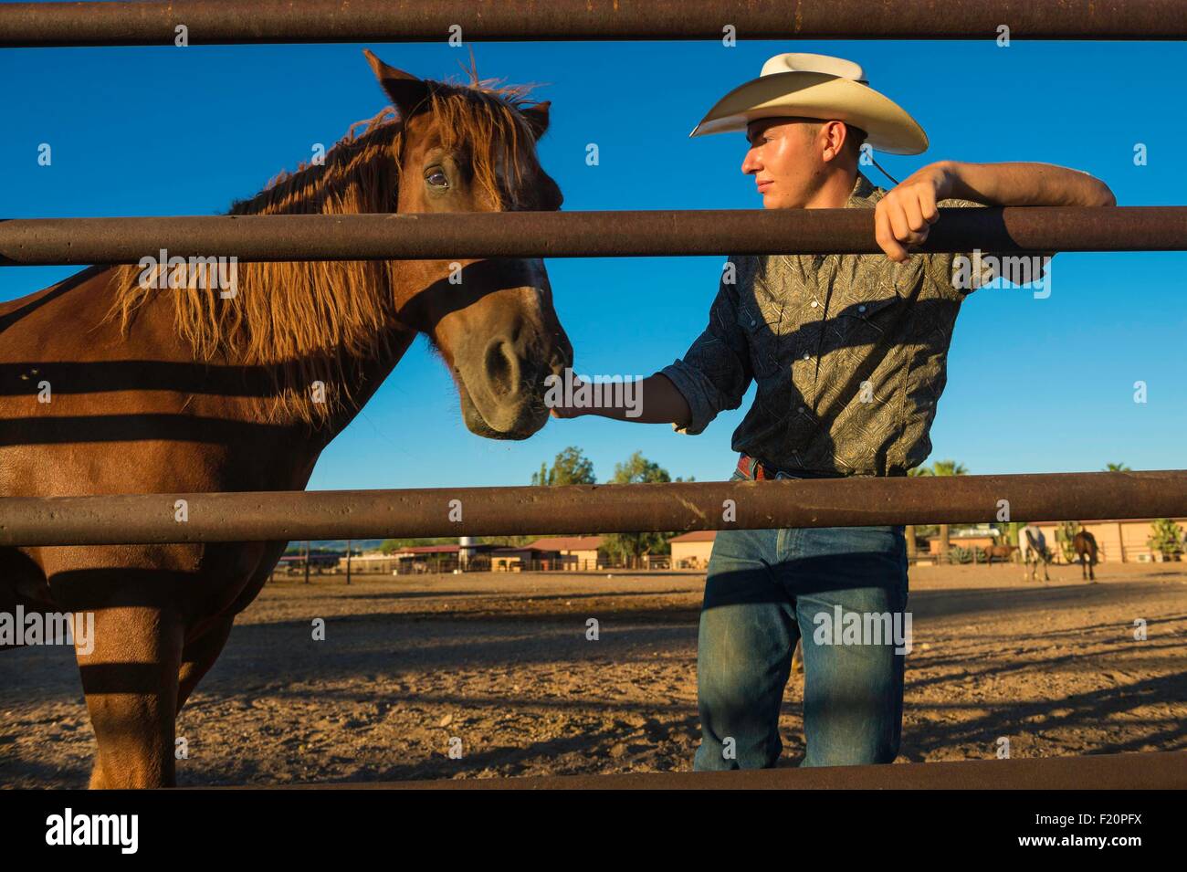White Stallion Ranch Tucson High Resolution Stock Photography and ...