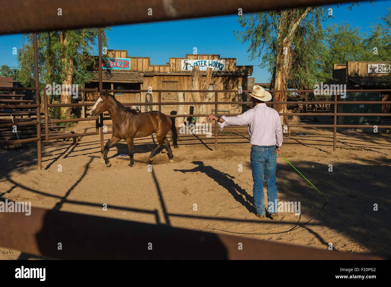 United States, Arizona, Tucson, White Stallion Ranch, horse training ...