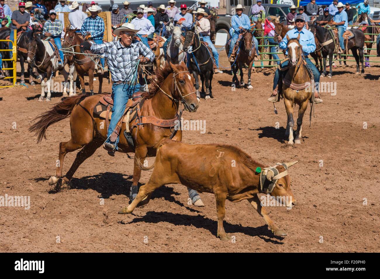 United States, Arizona, Window Rock, Festival Navajo Nation Fair, rodeo ...