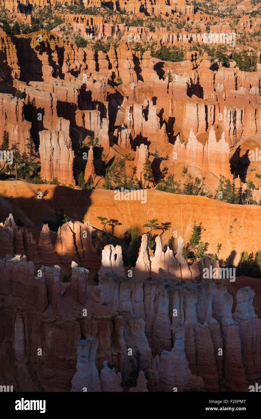 United States, Utah, the Colorado Plateau, Bryce Canyon National Park ...