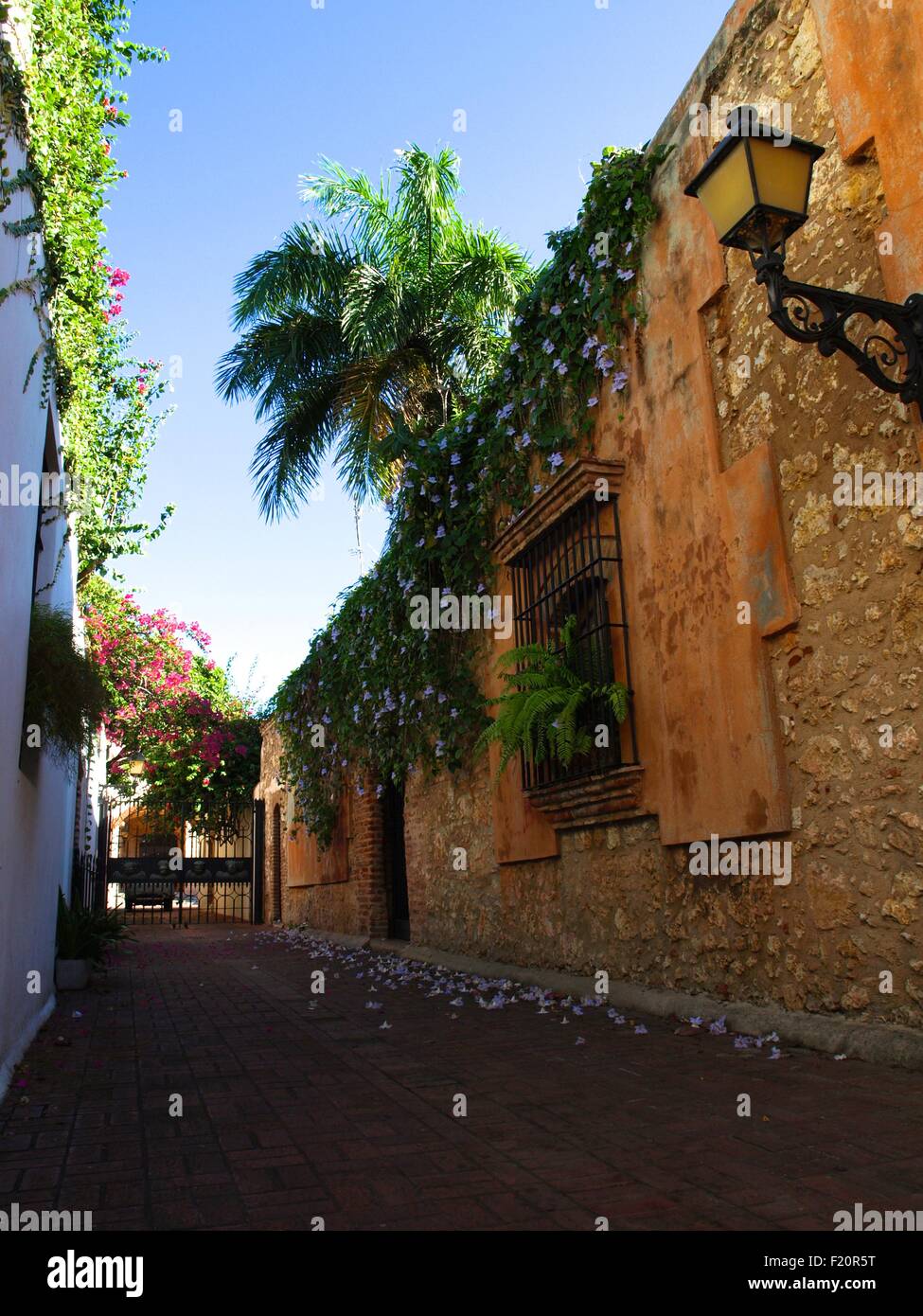 A side street in the Colonial Zone Stock Photo - Alamy