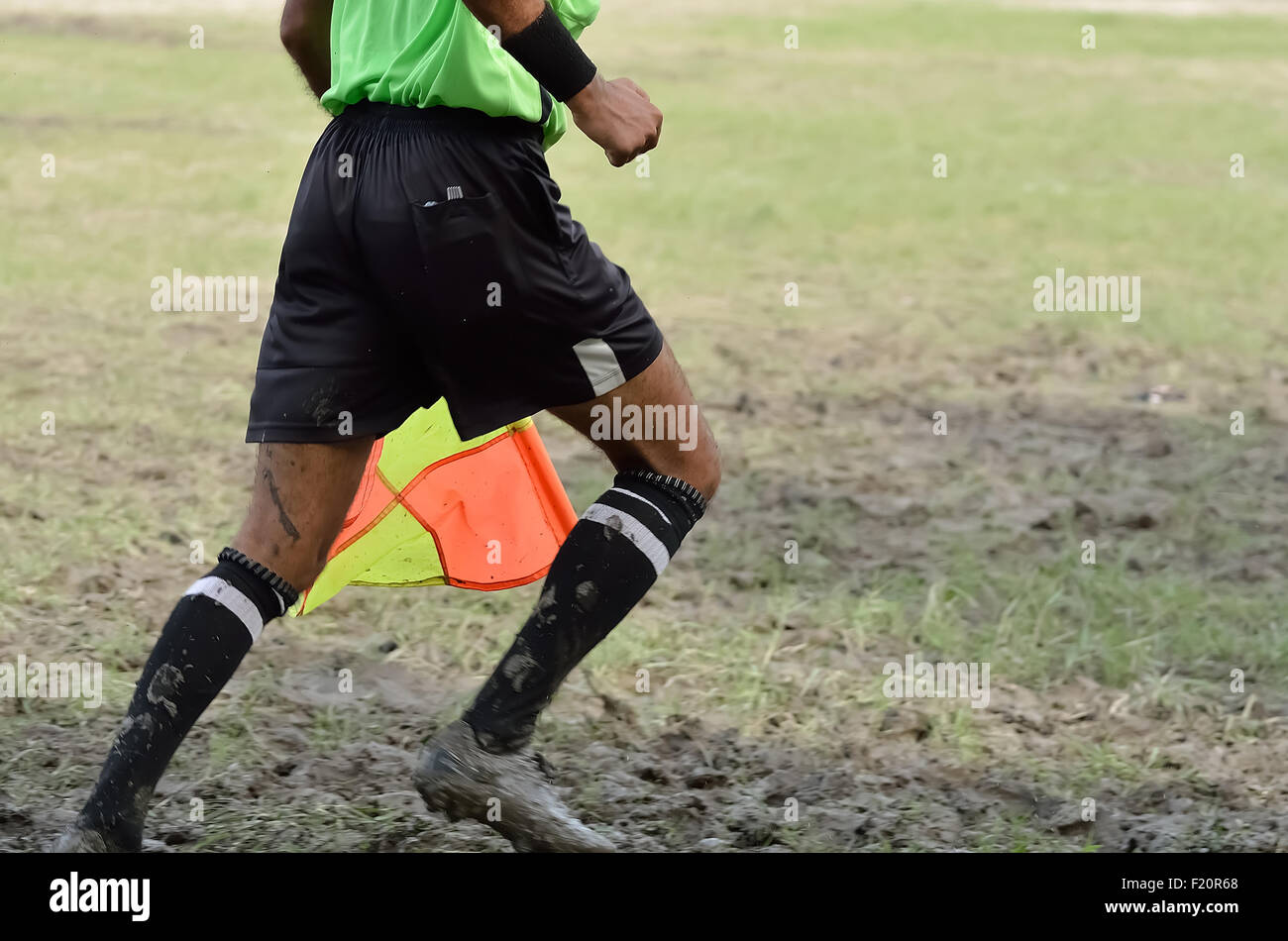 Fitness assistant hi-res stock photography and images - Alamy