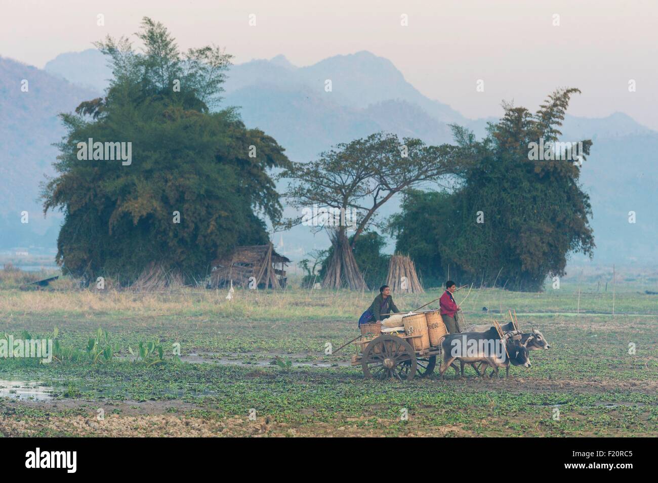 Myanmar (Burma), Shan state, Pao's tribe, Sagar lake, Sagar (Samkar ...