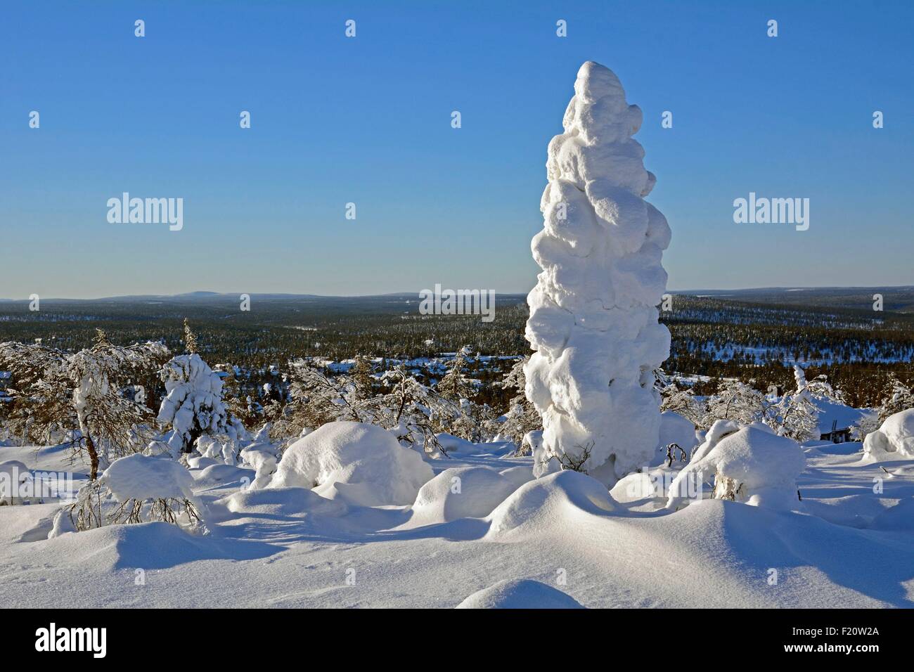 Finland, Lapland, Saariselka, snow and frost landscape Stock Photo - Alamy