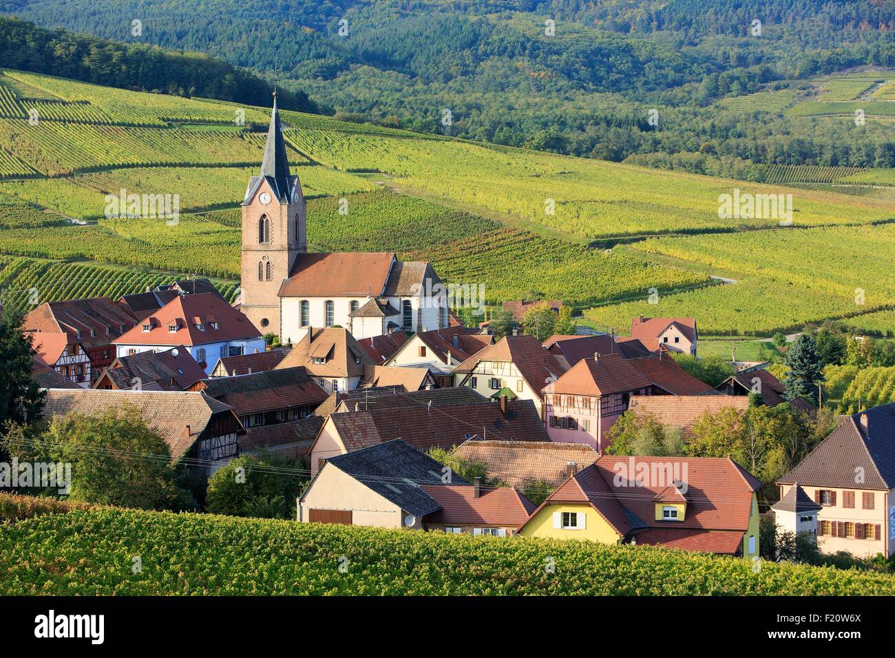 France, Haut Rhin, Route des Vins d'Alsace, Rodern, the village and the ...