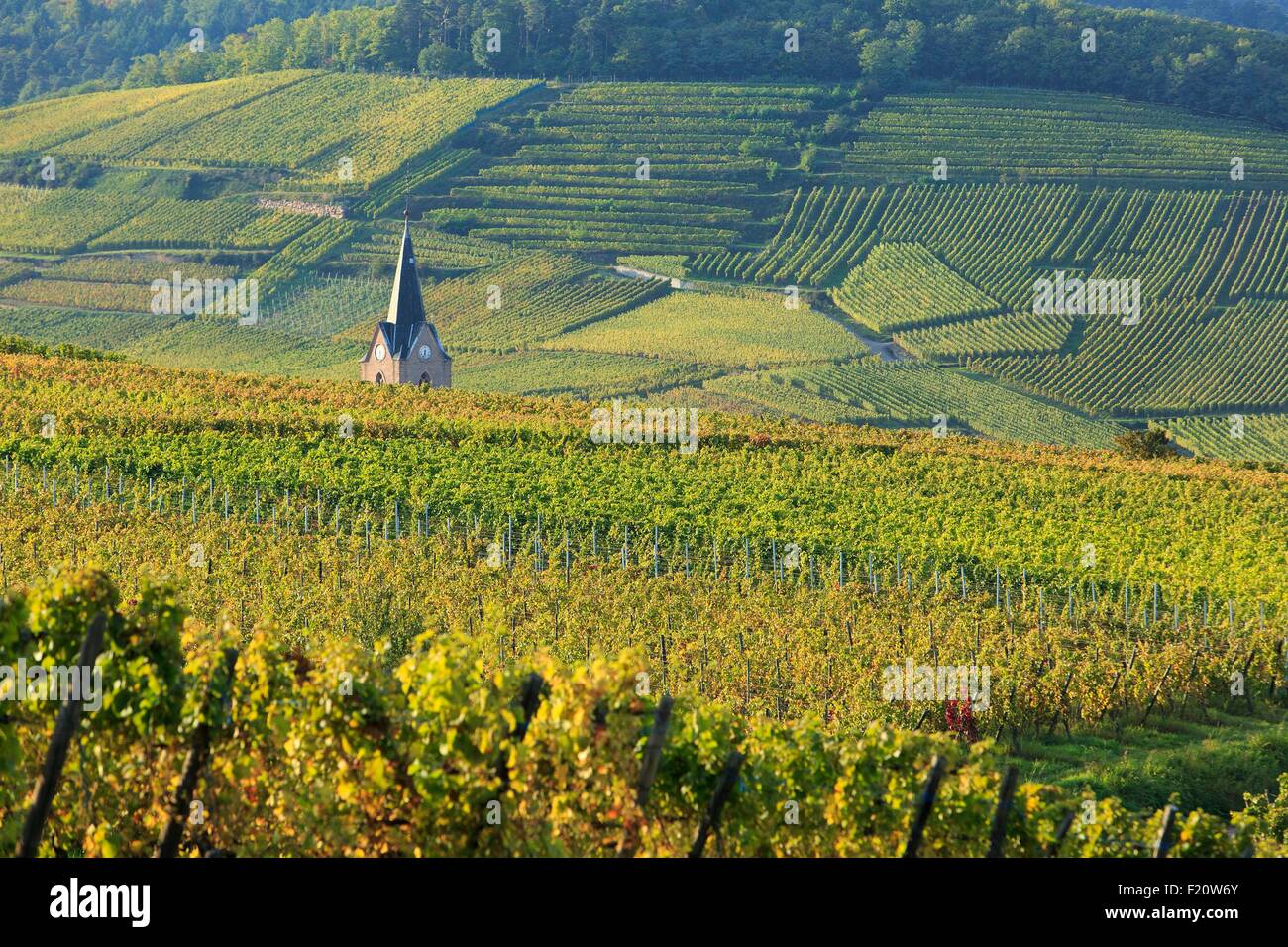 France, Haut Rhin, Route des Vins d'Alsace, Rodern, the village and the ...