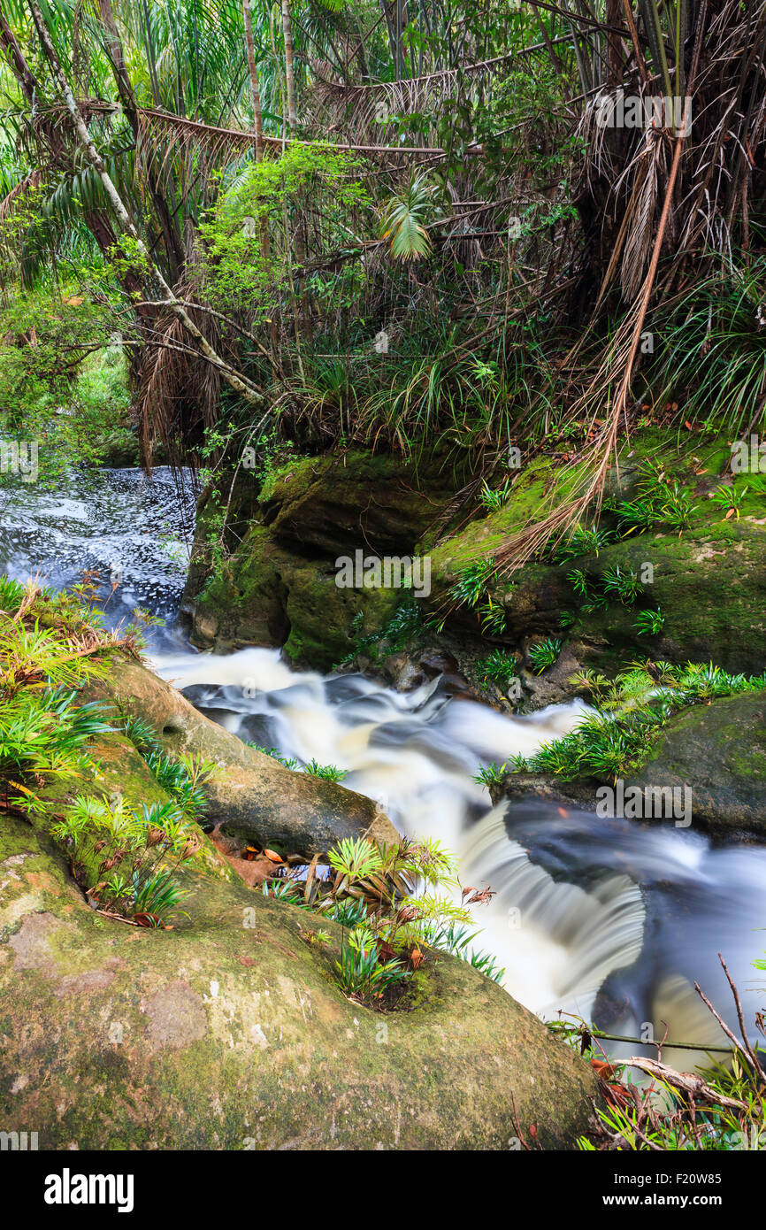 Small waterfall in jungle Stock Photo - Alamy
