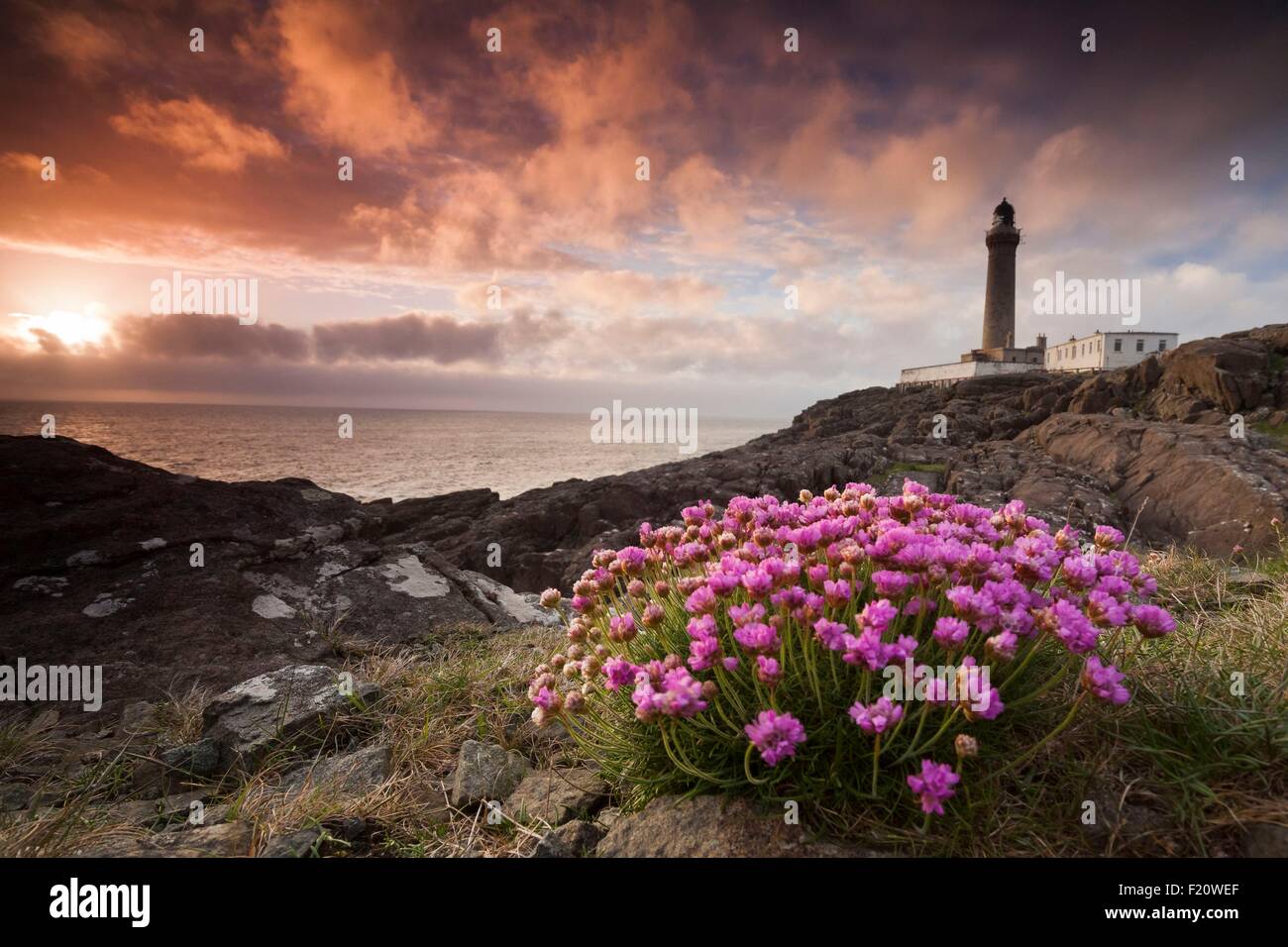 United Kingdom, Scotland, Ardnamurchan peninsula, Point of Ardnamurchan ...