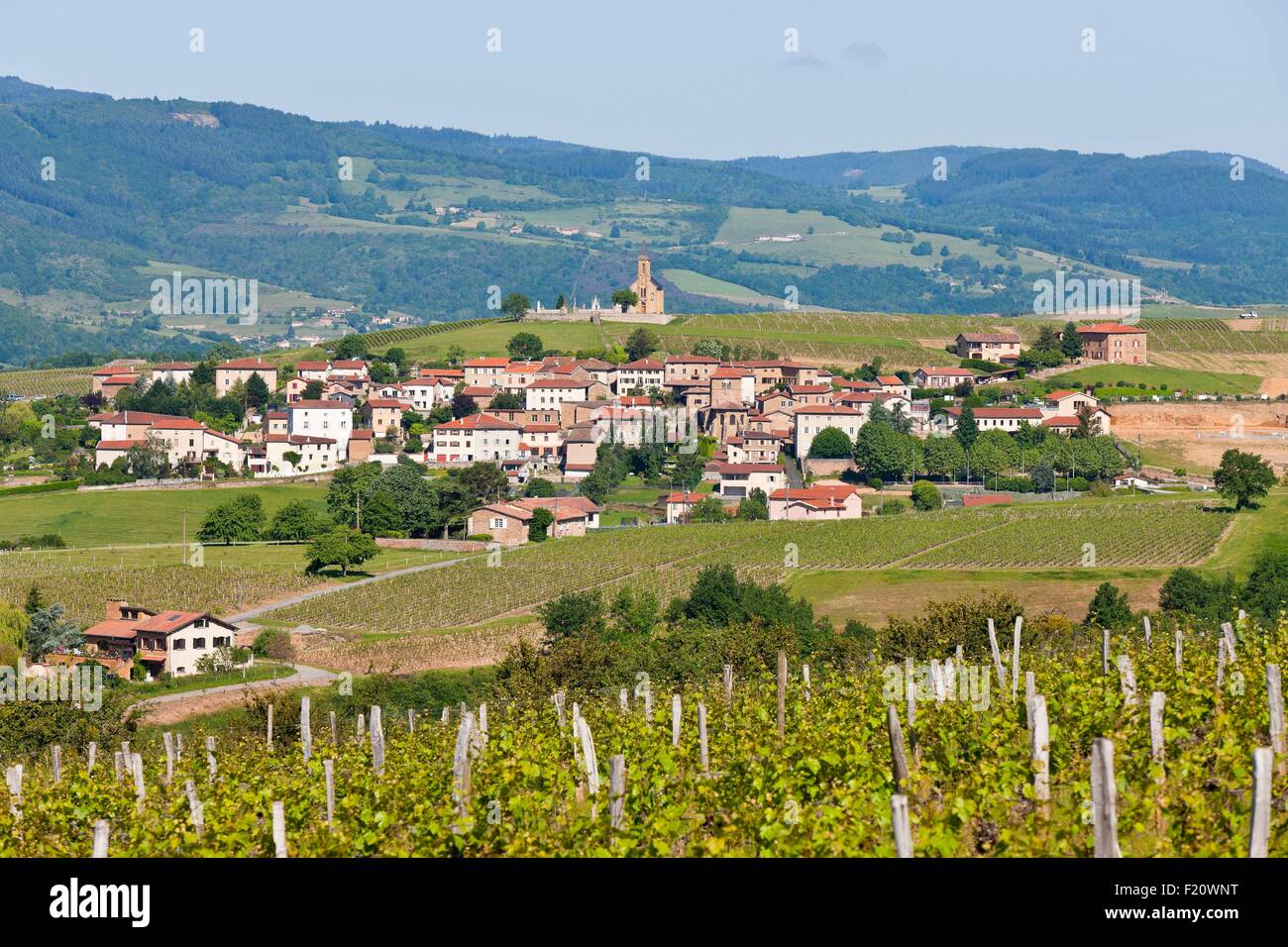 Pierres dorees beaujolais hi-res stock photography and images - Alamy