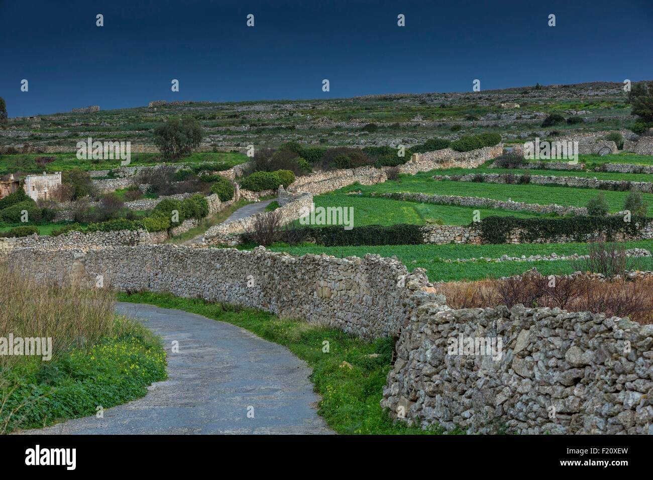 Malta, Siggiewi, Laferla Cross, rural landscape field and stone walls ...