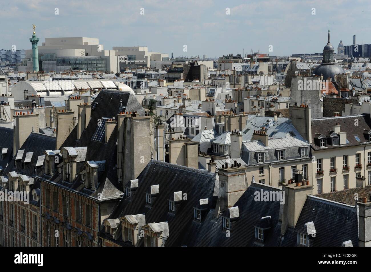 France, Paris, Paris rooftops, In the background the genius of the ...